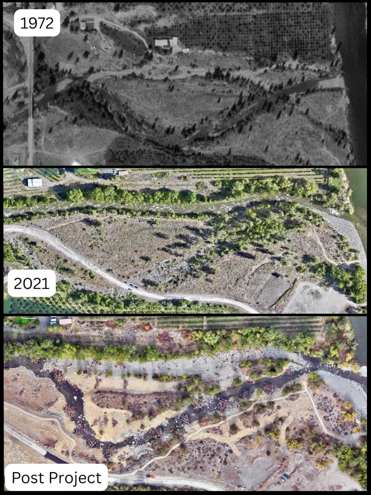 Major Habitat Restoration Project Completed on Lower Peshastin Creek ...